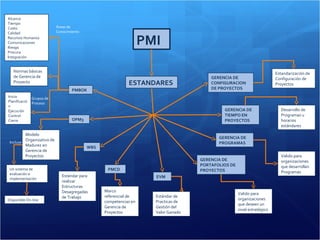 Mapa Conceptual del PMI | PPT