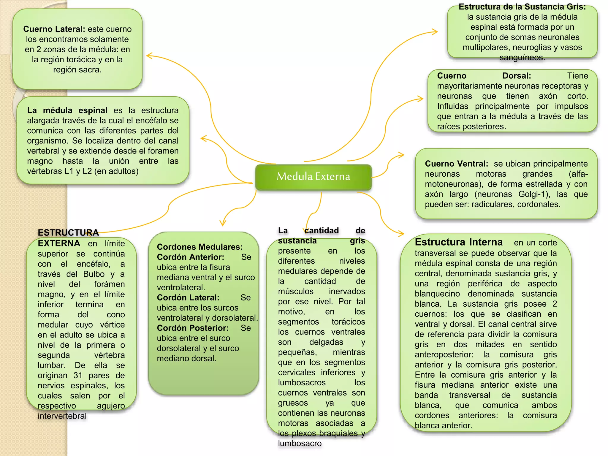 Mapa conceptual | PPTX