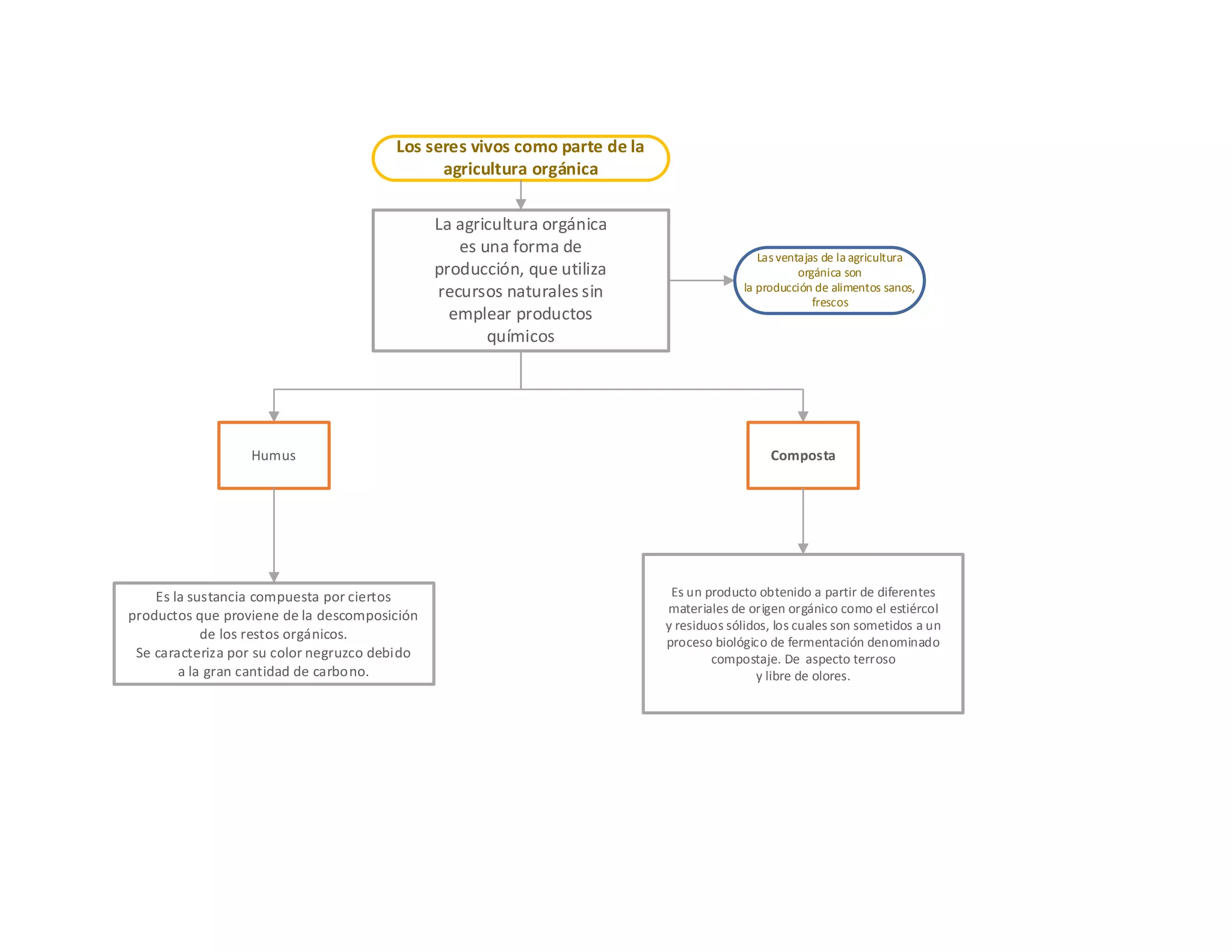 mapa conceptual.docx