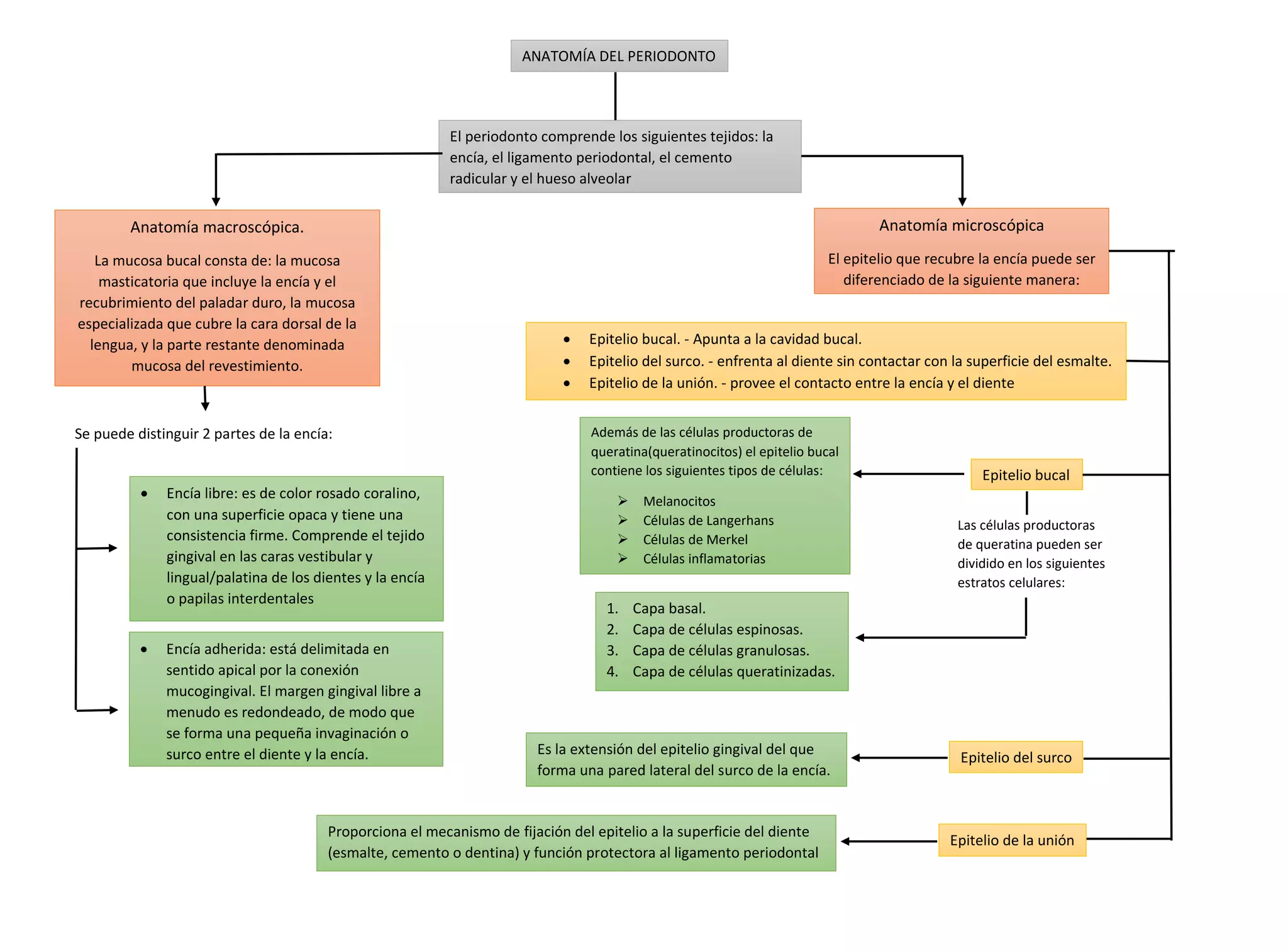 mapa conceptual.pdf