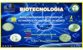Microorganismos extremófilosActinomicetos halófilos en México | PDF