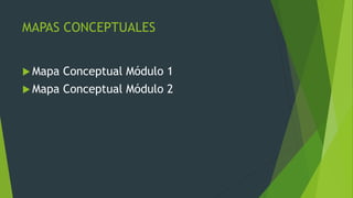 MAPA CONCEPTUAL ADMON.pptx