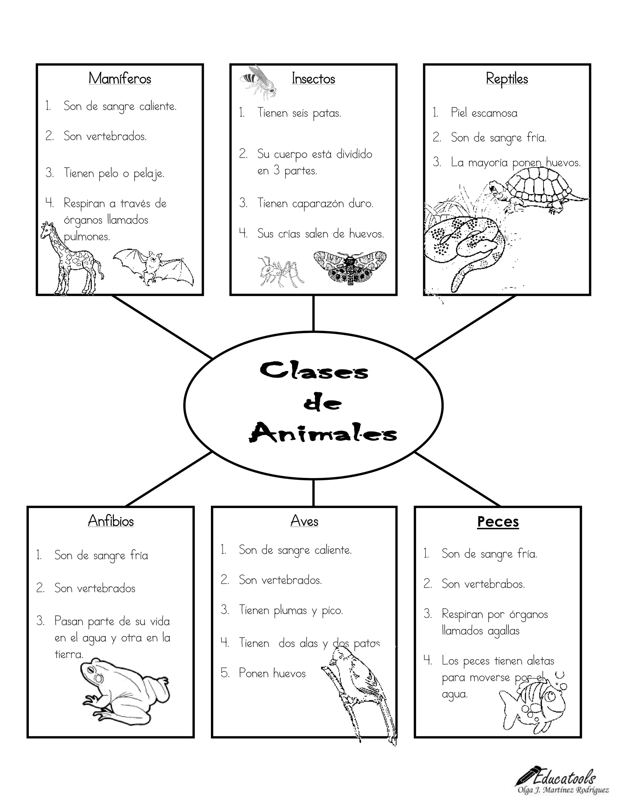 Clases animales | PDF