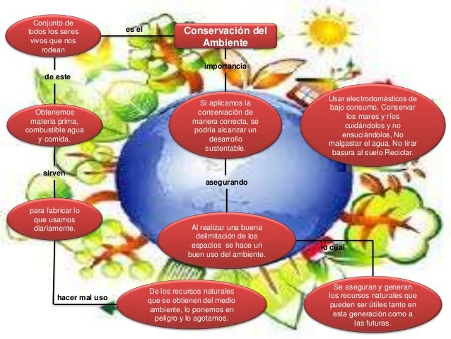 Mapa Arbol Conceptual De La Conservacion Del Medio Ambiente Mapas ...