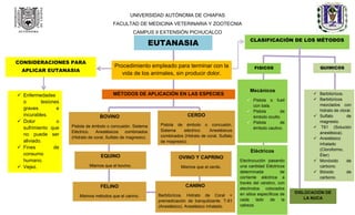 Mapa conceptual de eutanasia.pdf