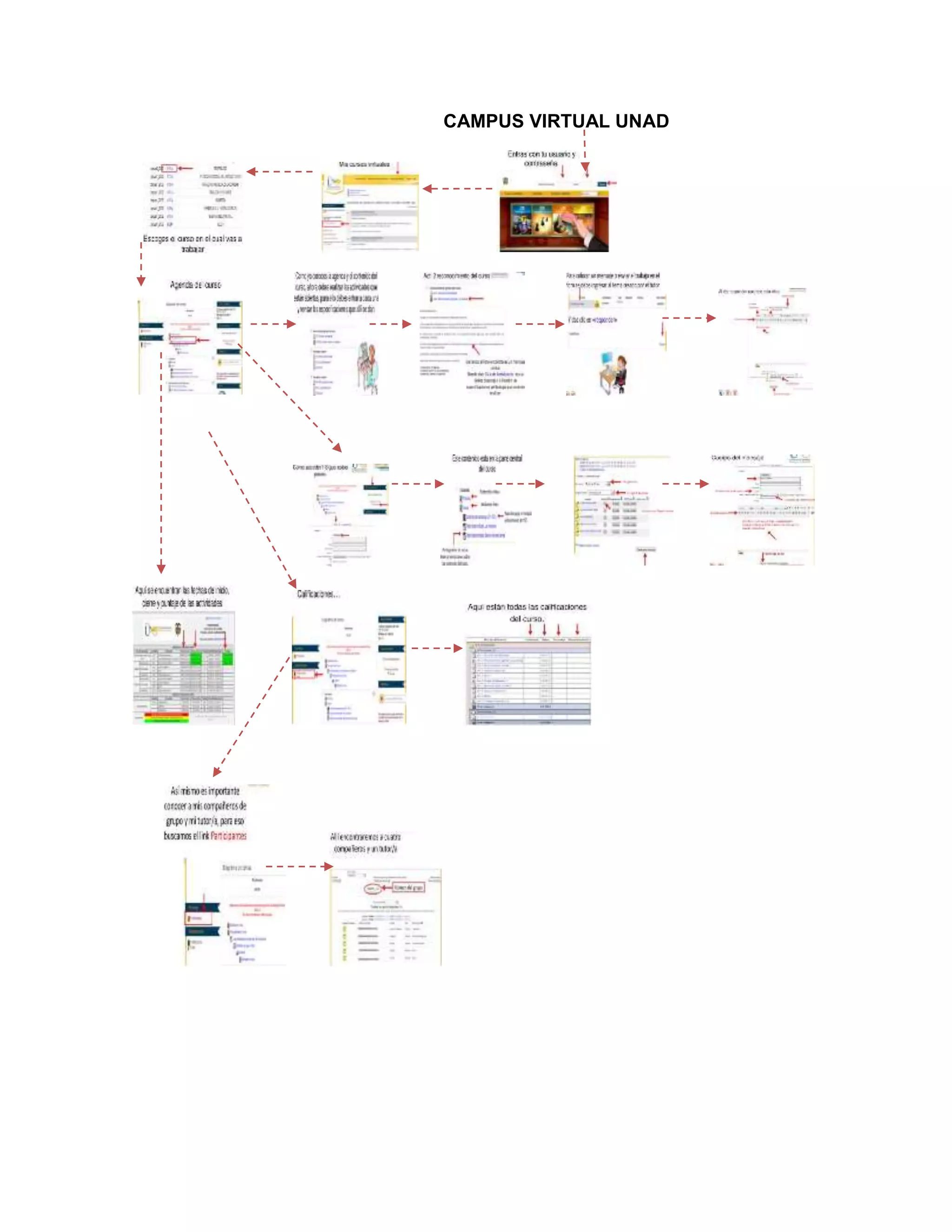 Mapa conceptual del campus virtual de la unad | DOCX