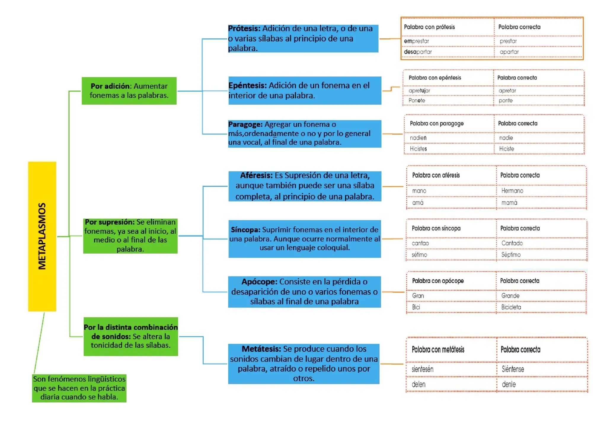 mapa conceptual de los metaplasmos. definiciones, reglas y ejemplos | DOCX