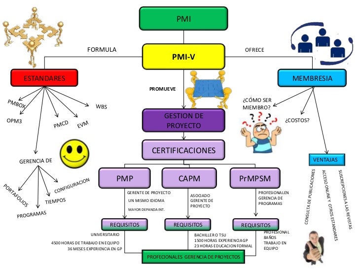 Mapa conceptual de pmi
