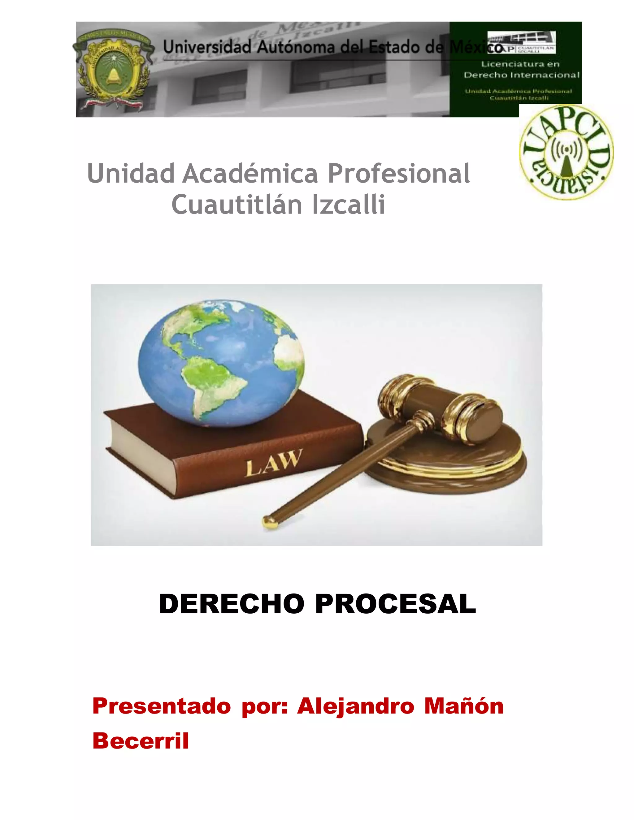 Mapa Conceptual Derecho Procesal concepto y proceso | DOCX