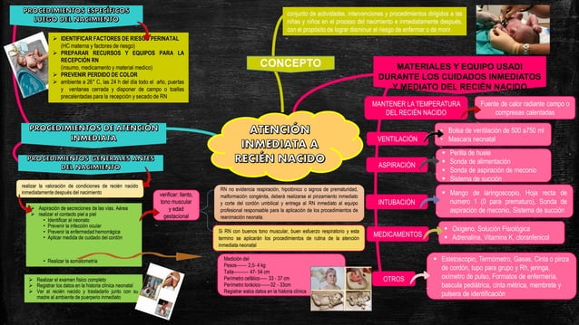 mapa conceptual de recien nacido.pdf