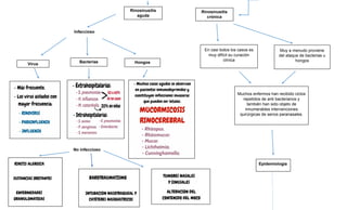 Mapa conceptual de rinosinusitis | PDF