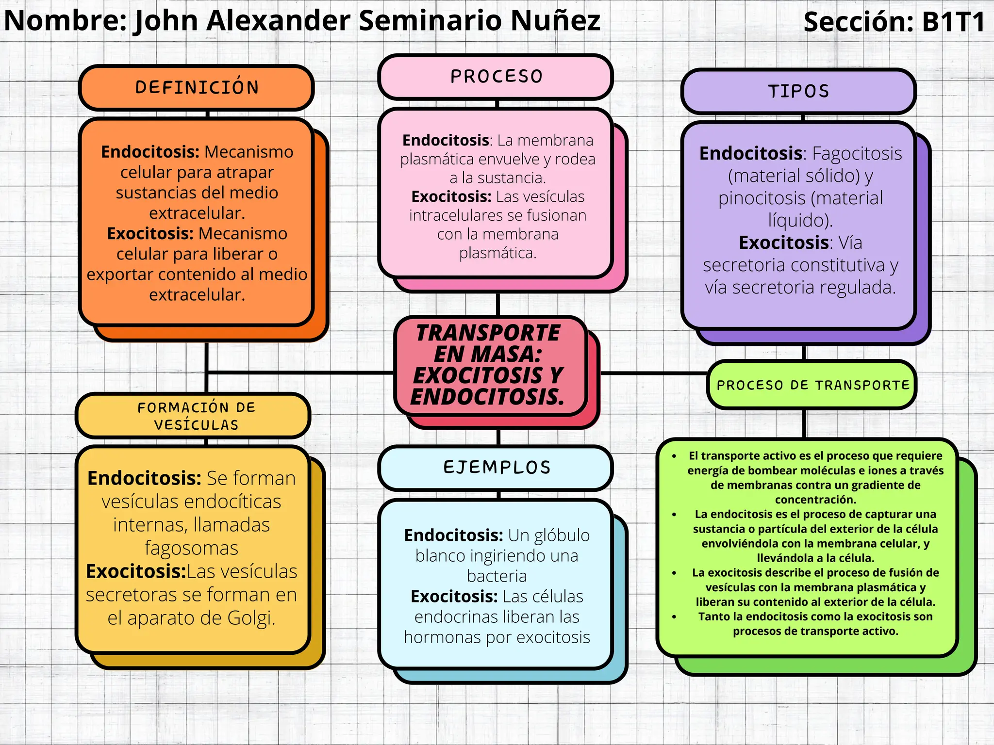 Mapa Conceptual diferencial de Transporte en masa exocitosis y ...