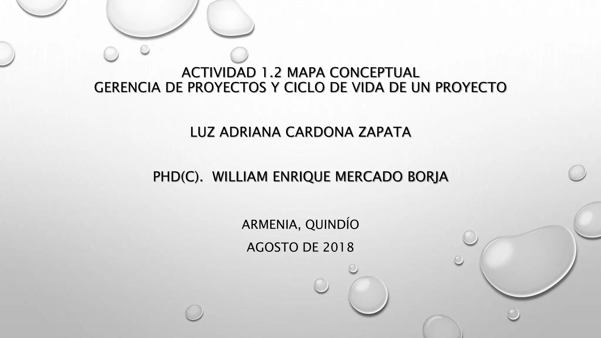 Mapa conceptual gerencia de proyectos | PPTX | Business | Business and ...