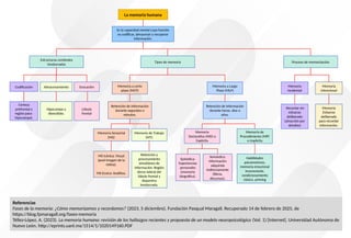 MAPA CONCEPTUAL FASES DE LA MEMORIA HUMANA | PPTX
