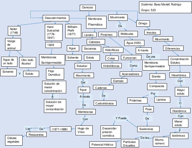Mapa Conceptual De Osmosis - hayes