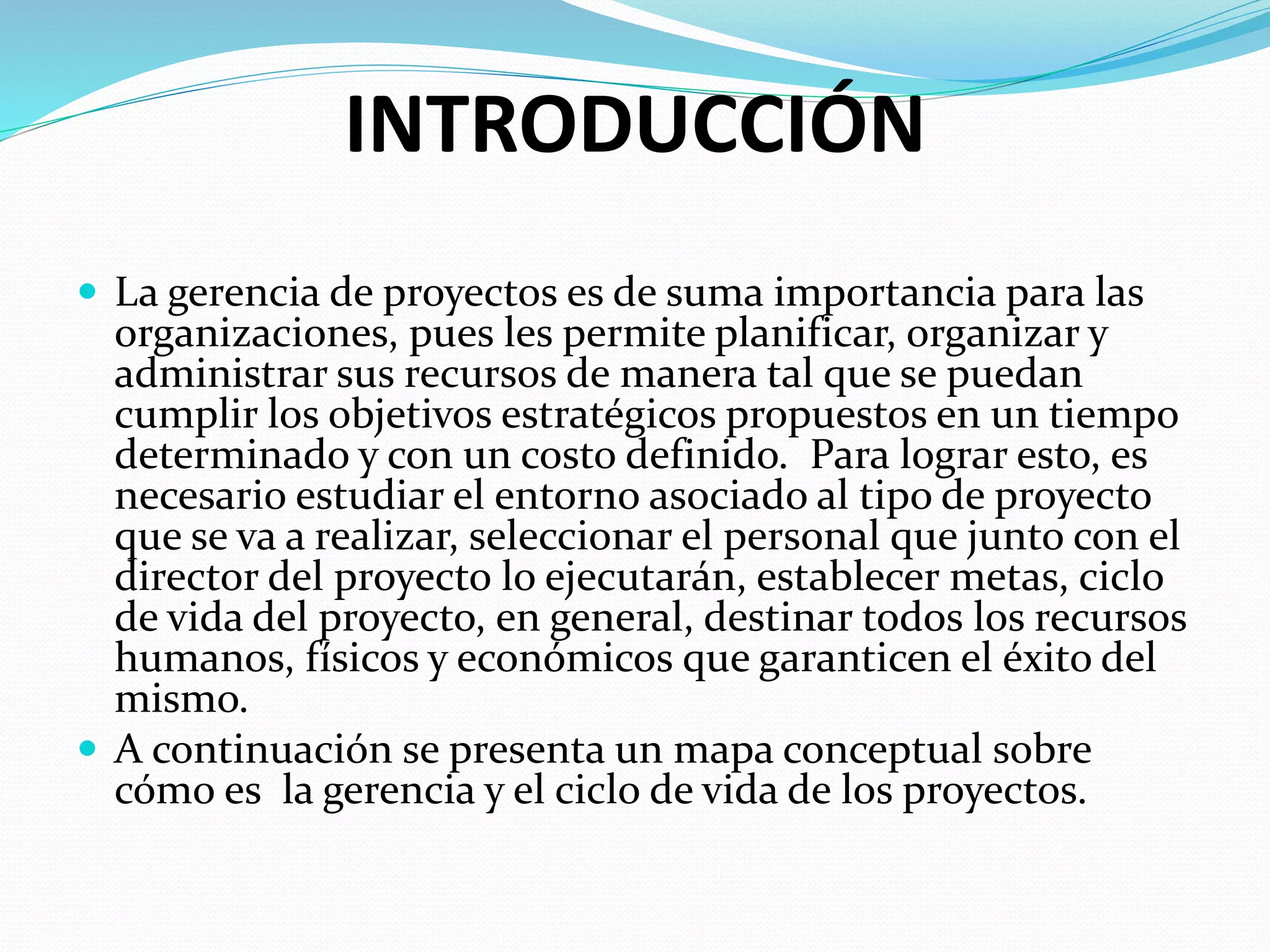 Mapa conceptual sobre gerencia de proyectos y ciclo de vida de un ...
