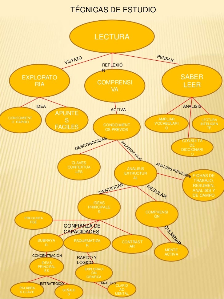 Tecnicas De Estudio Esquema Y Mapa Conceptual – eroppa Tecnicas De Estudio Esquema Y Mapa Conceptual – eroppa
