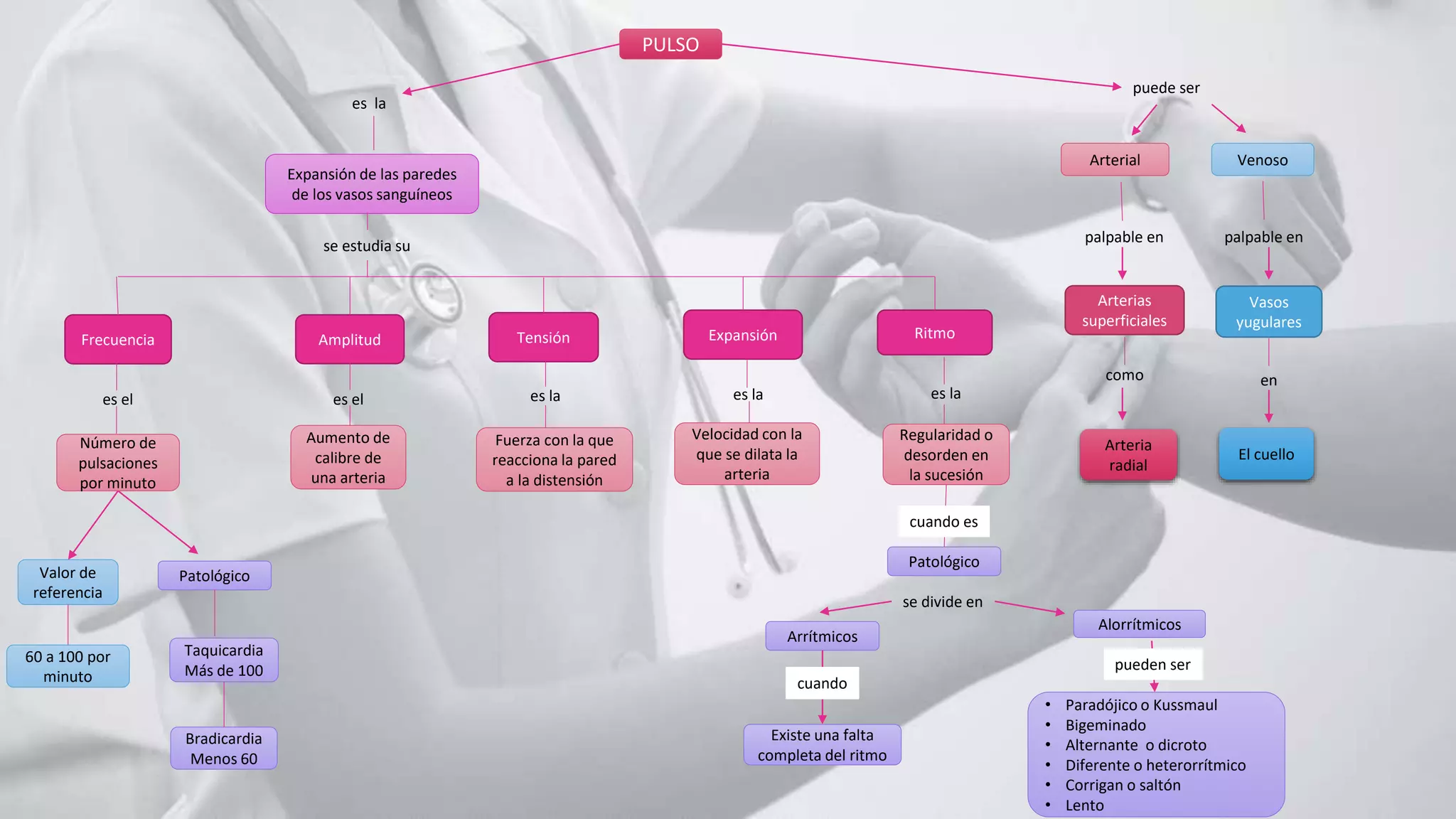 Mapa conceptual y flujograma.pptx