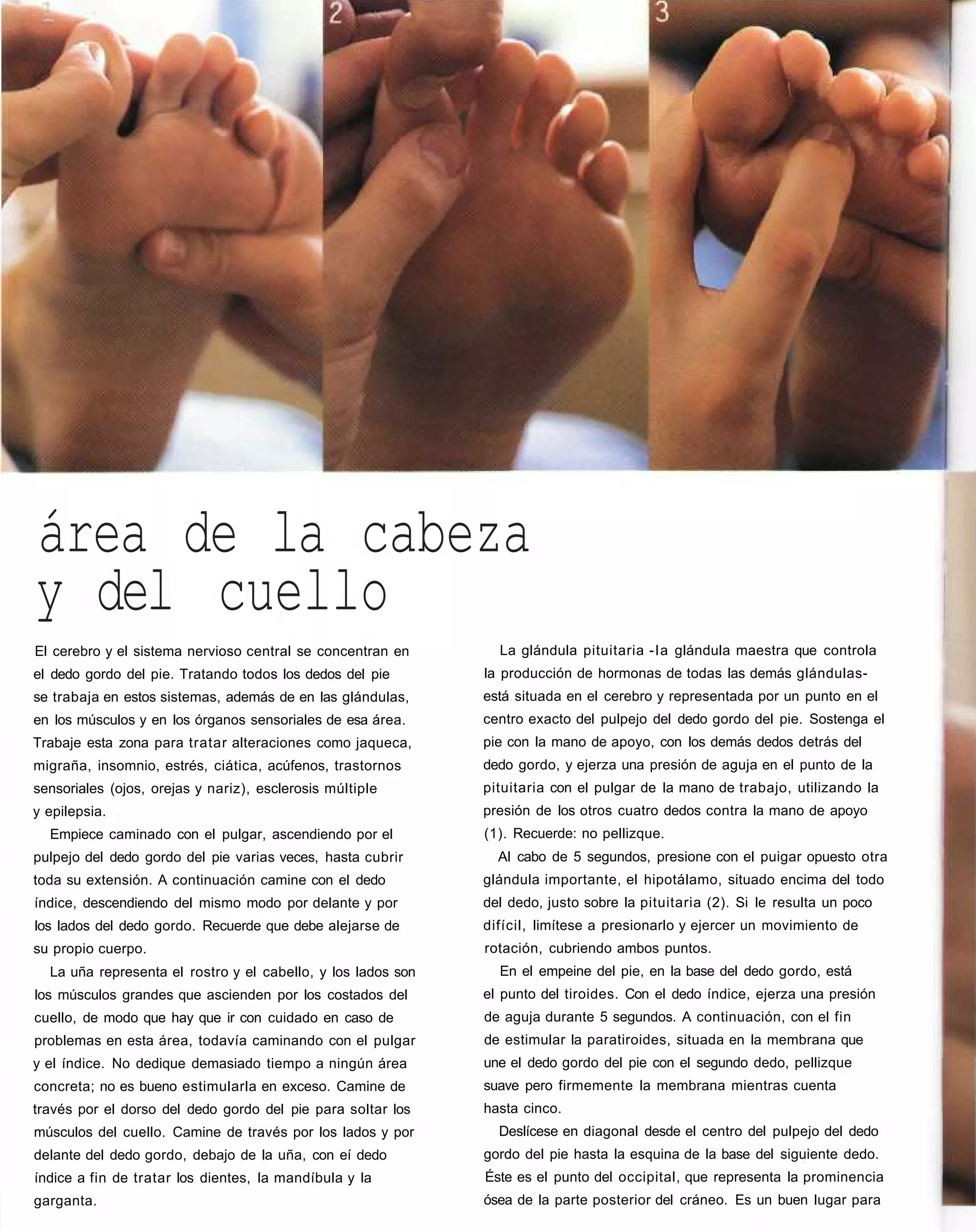Mapa de las manos | PDF