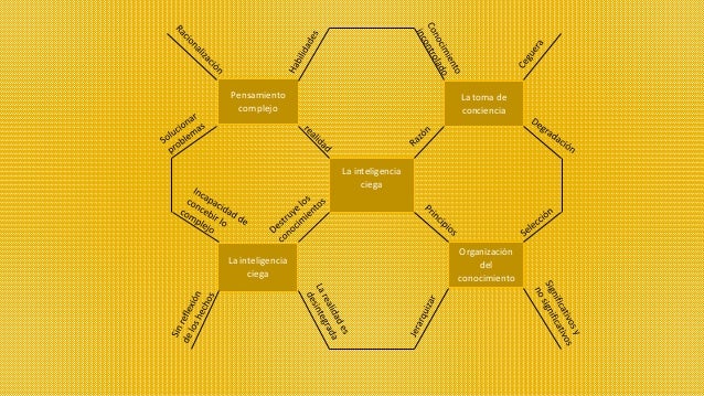 Mapa Mental - Mind Map