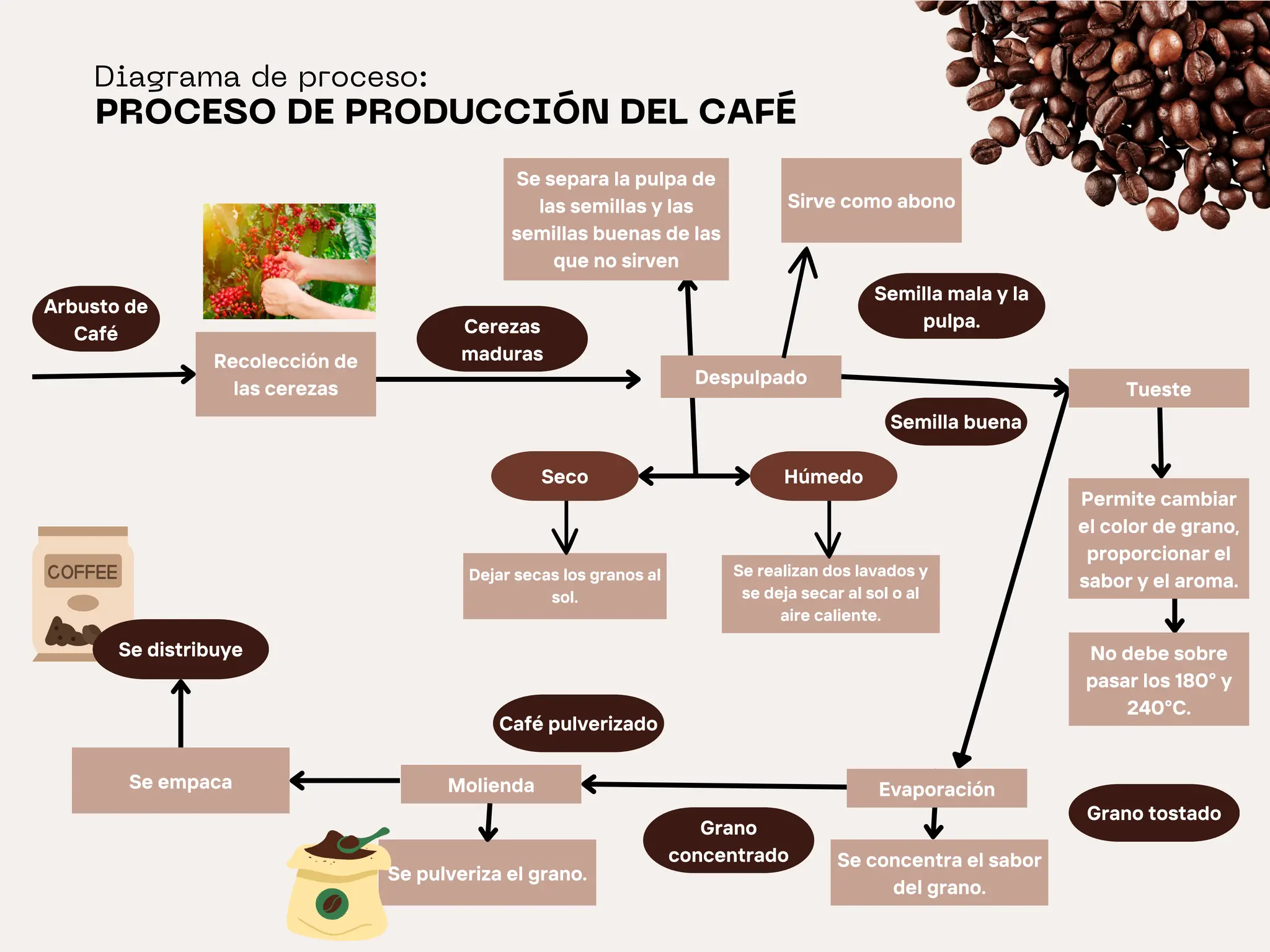 Mapa De Procesos Del Café De Gestión Por Procesos Pdf