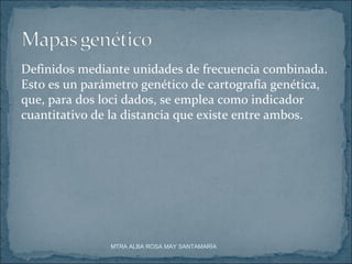 Mapa genético | PPT