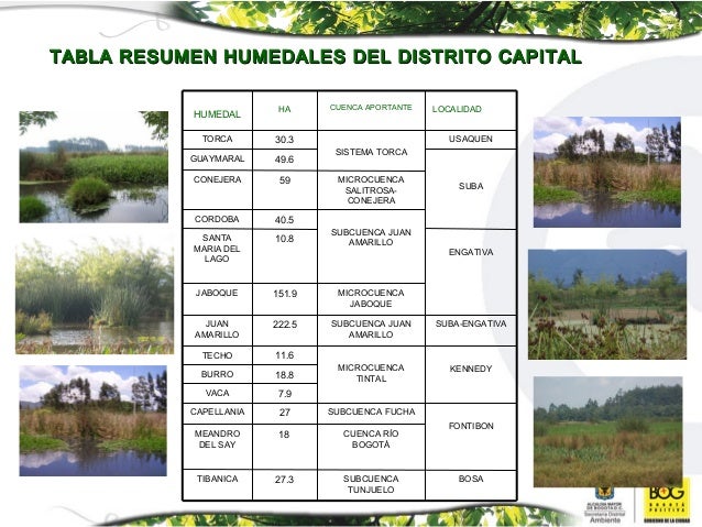 Mapa humedales y resumen