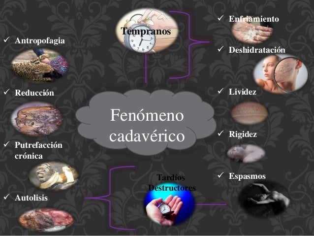 Fenómenos cadavéricos