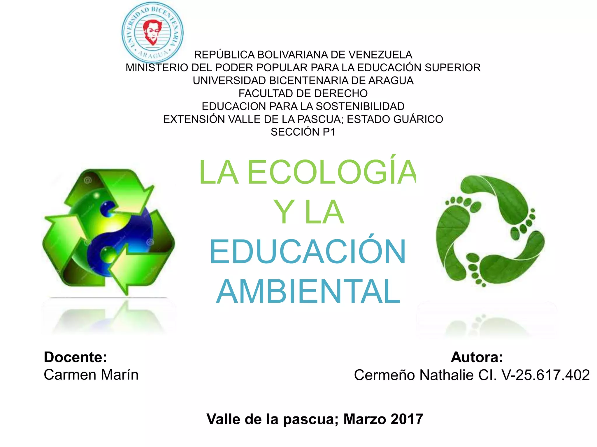 Mapa Mental del ecosistema y la Preservación del Medio Ambiente. | PPTX