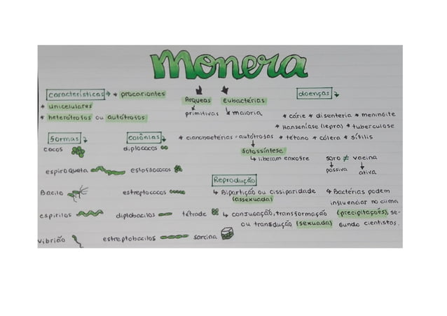 DESENHO CONTENDO MENTAL DO REINO MONERA. | DOCX