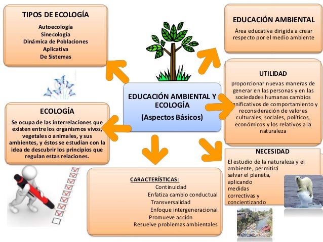 Mapa Mental Sobre Educacion Ambiental Download Pptx Powerpoint Porn
