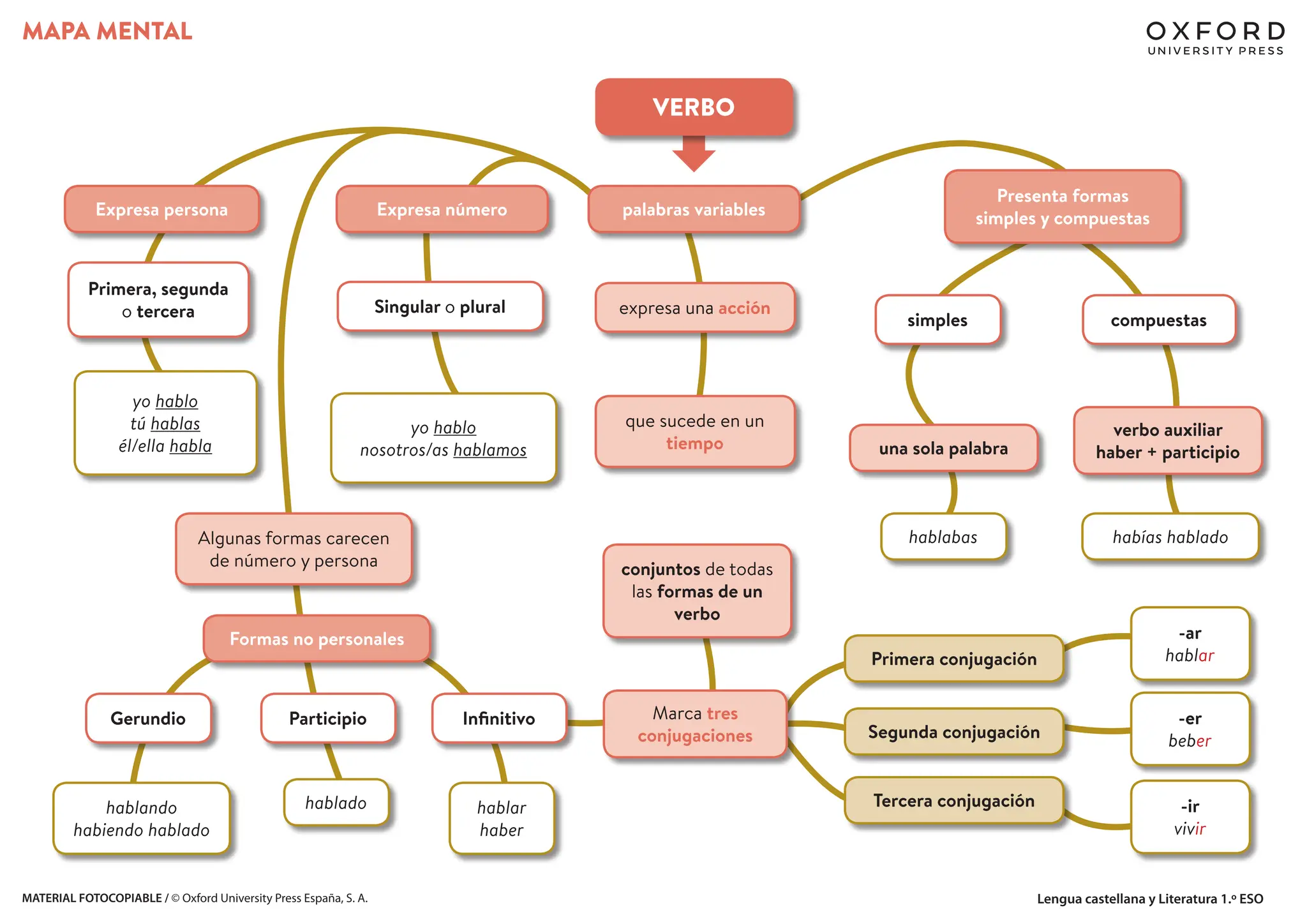 1 ESO - Unidad 6 - Mapa mental Verbo.pdf