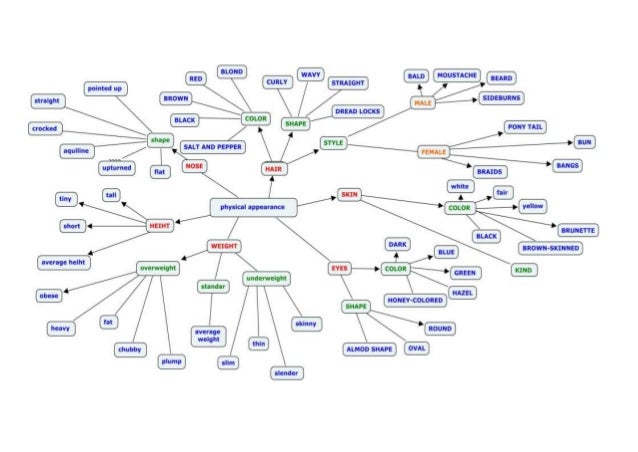 PHYSICAL DESCRIPTION MIND MAP