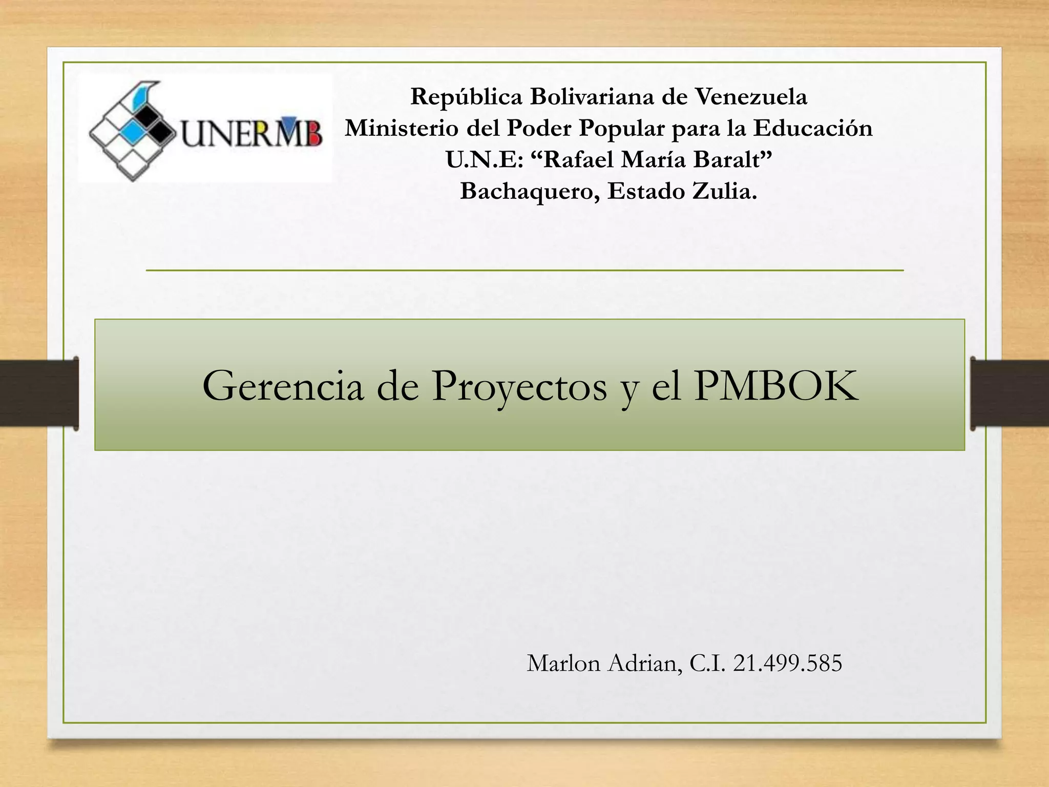 Mapa mental pmbok | PPTX