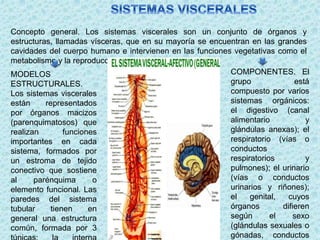 Mapa Mental Sobre Salud Preventiva | PPTX