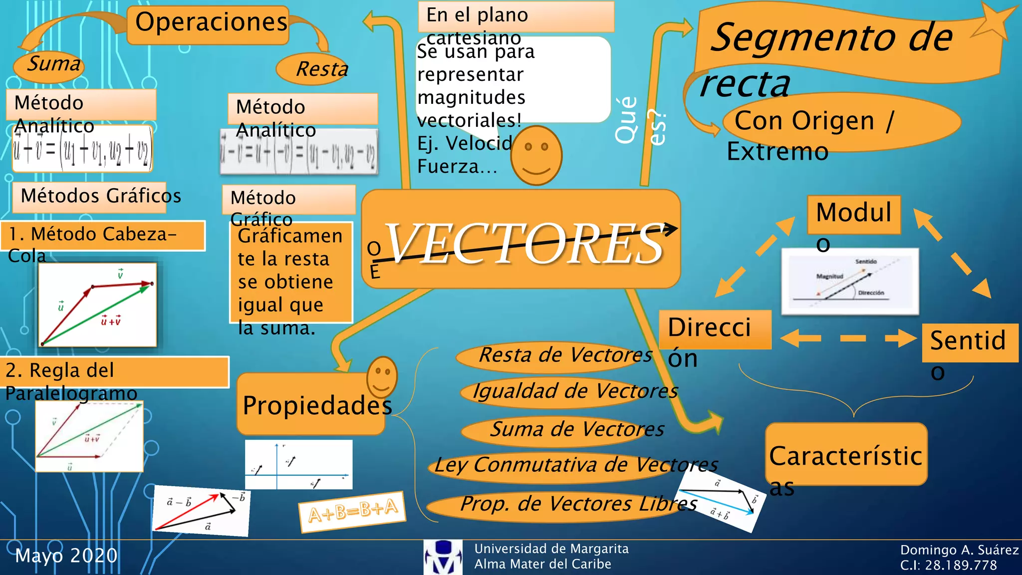 Mapa mental sobre vectores | PPTX
