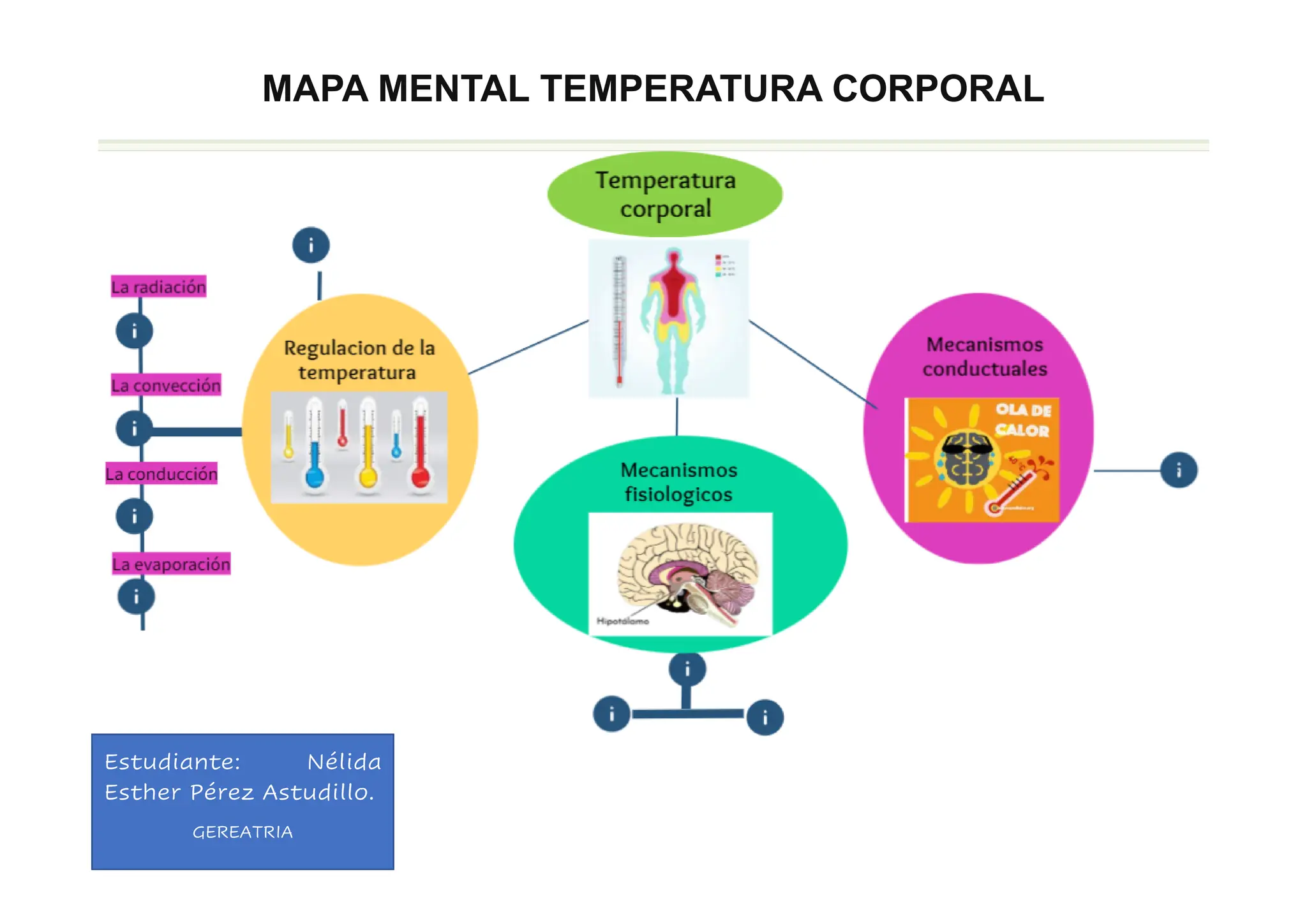 MAPA MENTAL TEMPERATURA CORPORAL.pdfDDDD | PPT