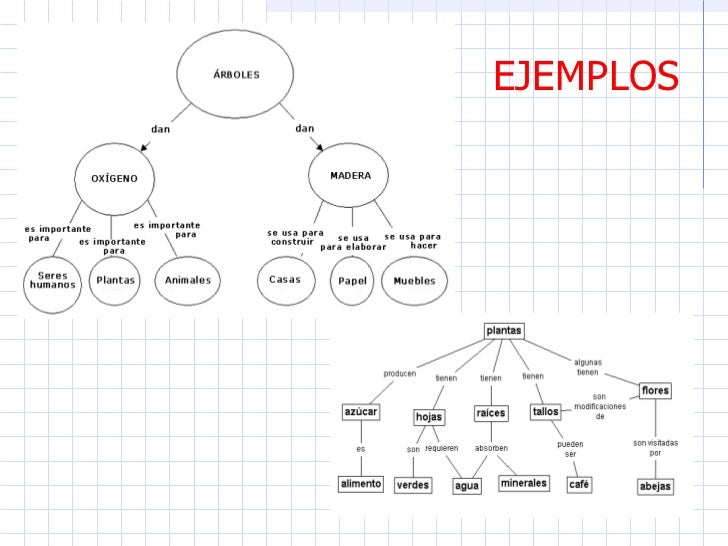 Como Se Elabora Un Mapa Conceptual Ejemplos Ejemplo Sencillo