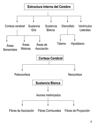 Mapas conceptuales | PPT