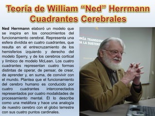 Mapas mentales. Teoria de Ned Herrmann | PDF