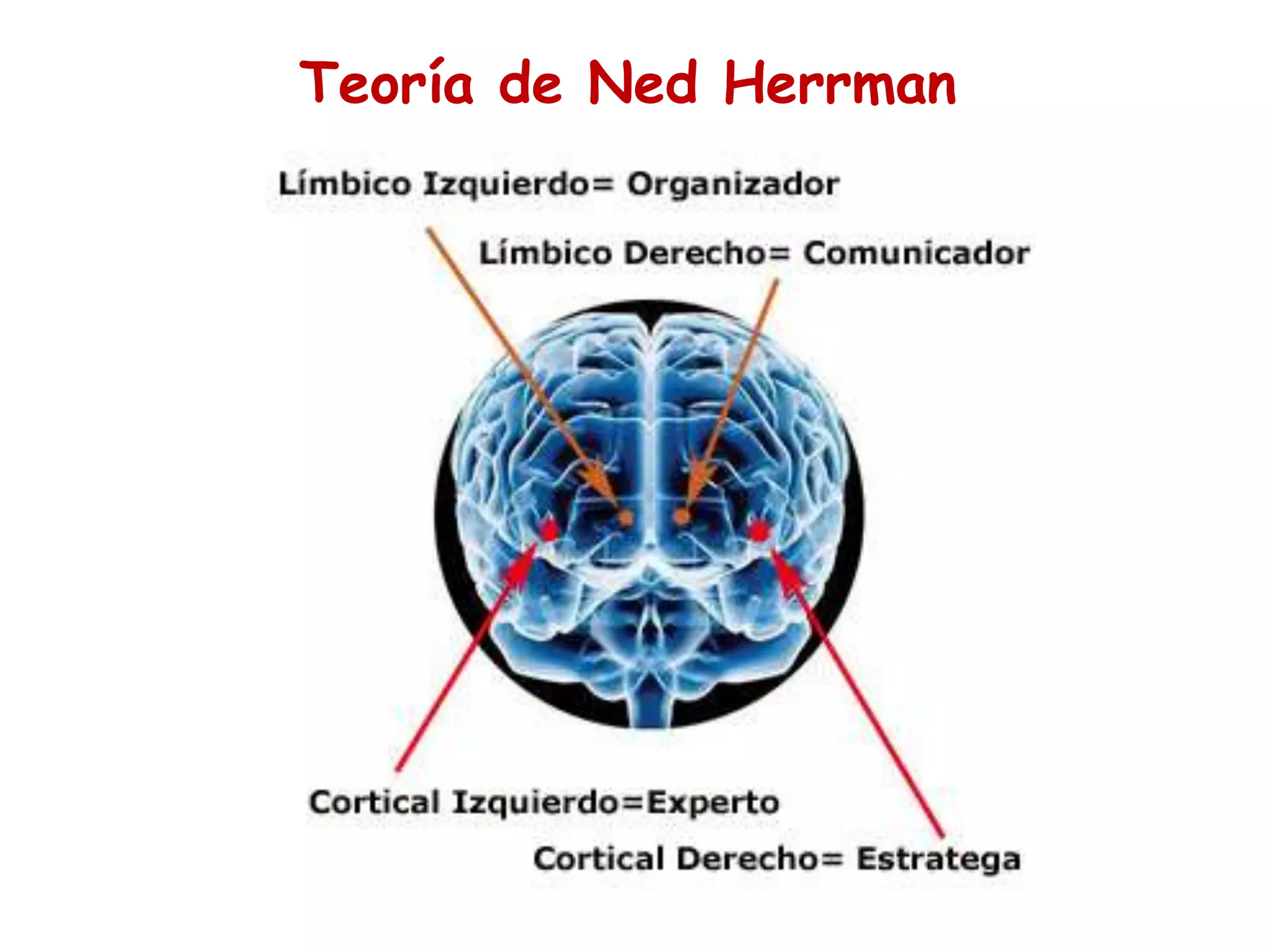 Mapas mentales teoría de Ned Herrman | PPT