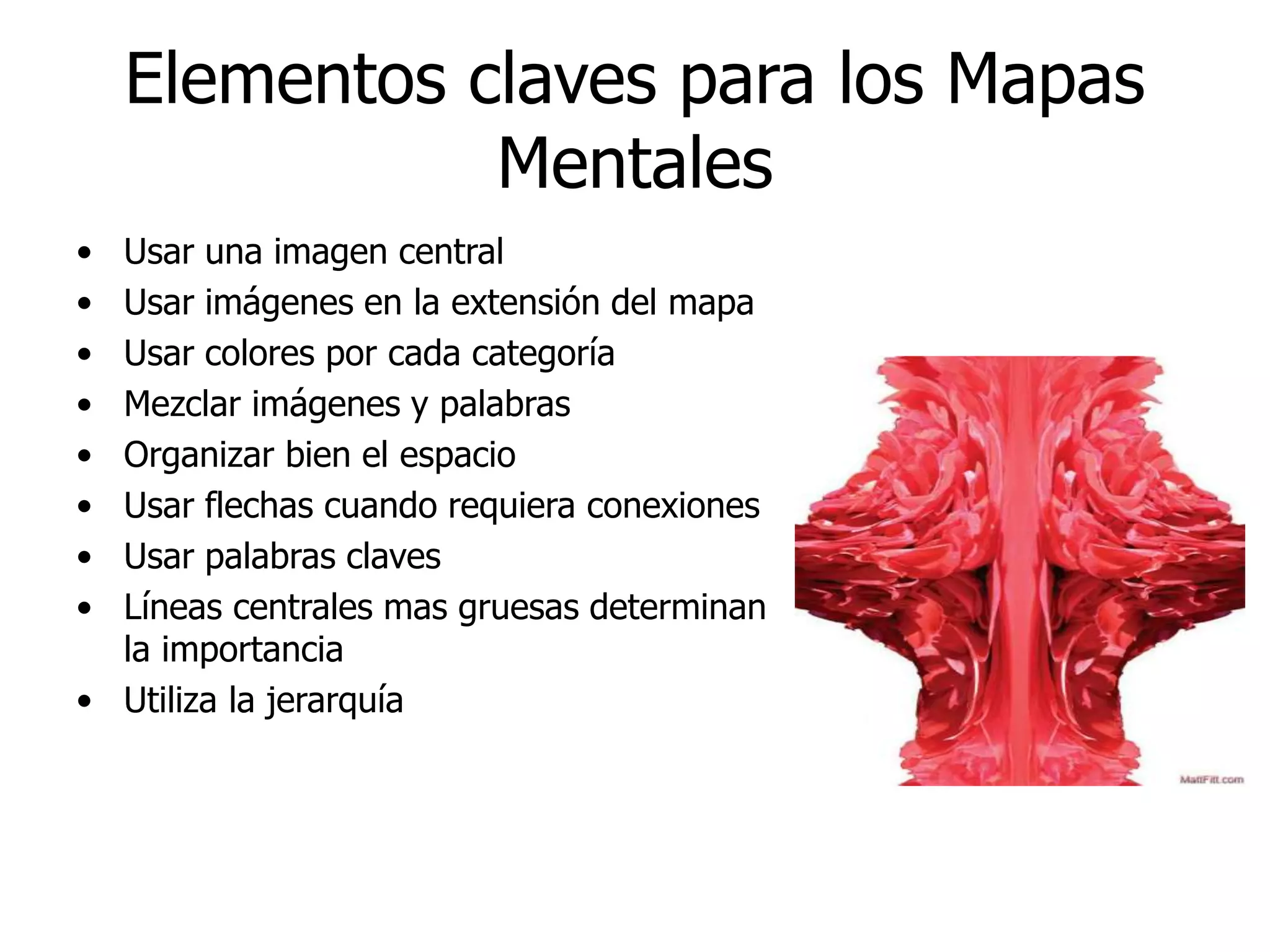 Mapas mentales | PPSX