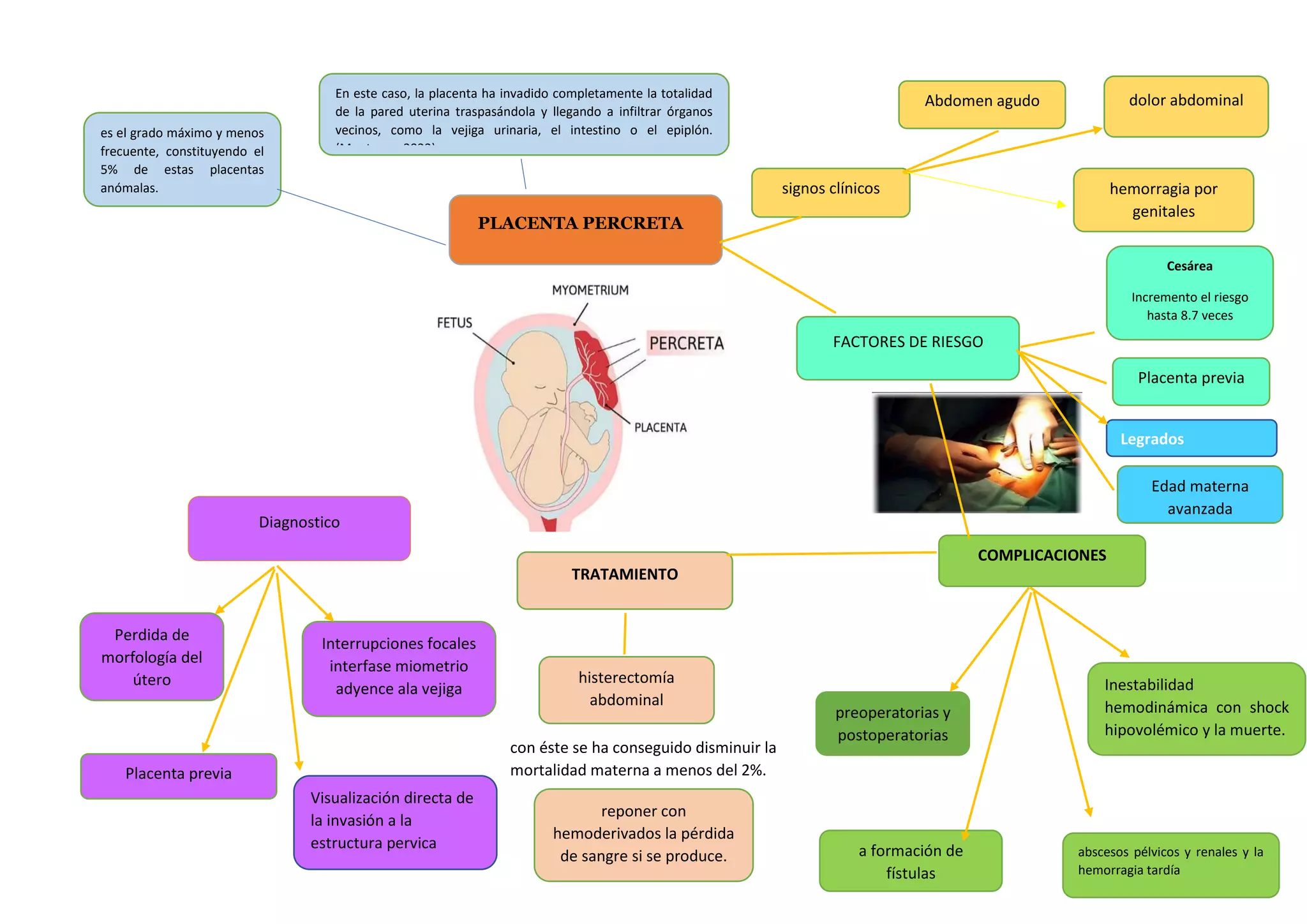 MAPAS MENTAL PLACENTAS MATERNO.pdf
