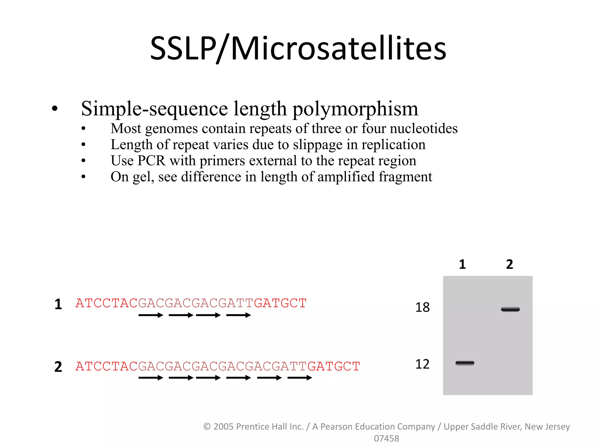 Map based cloning of genome | PPTX