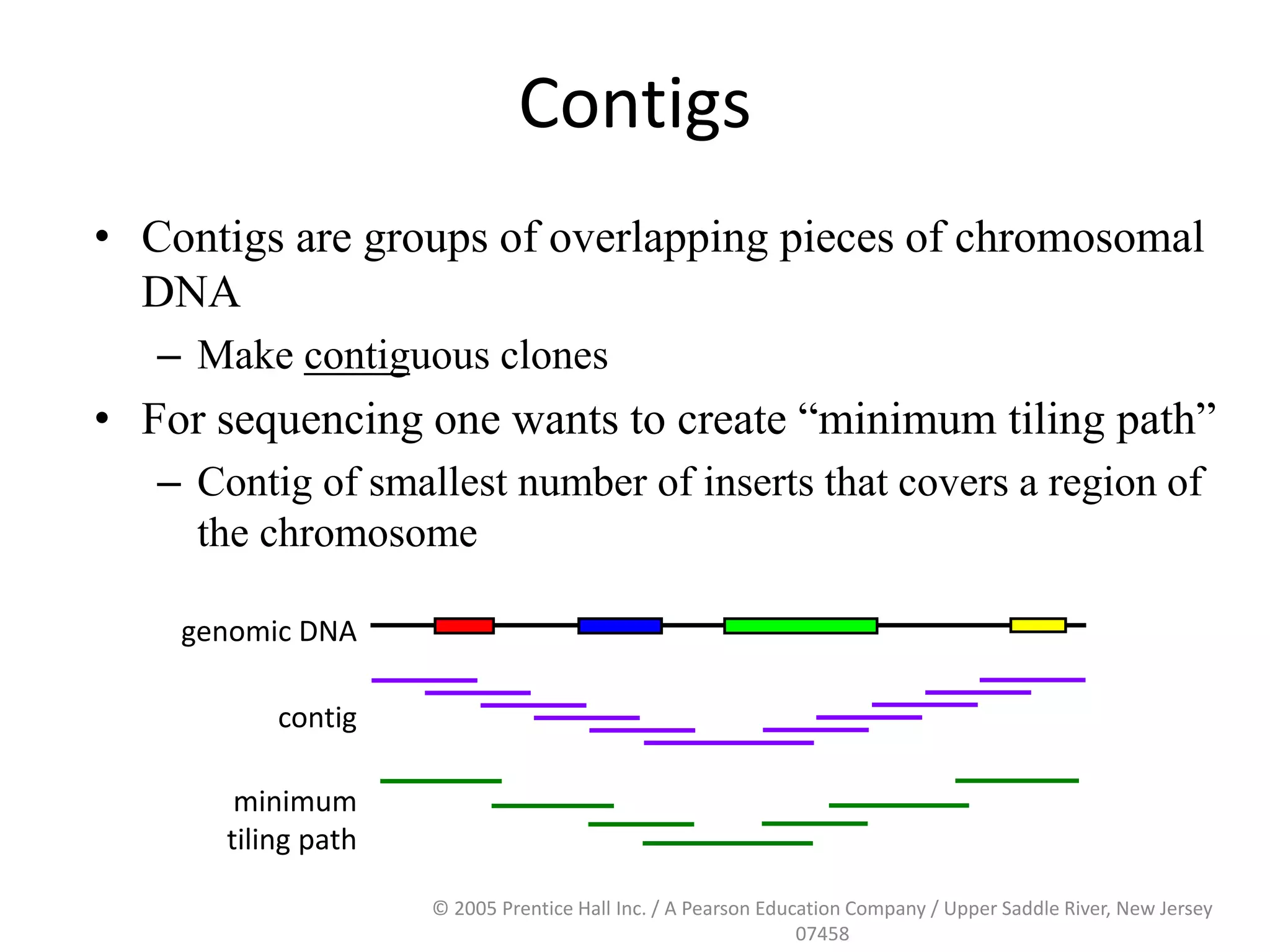 Map based cloning of genome | PPTX