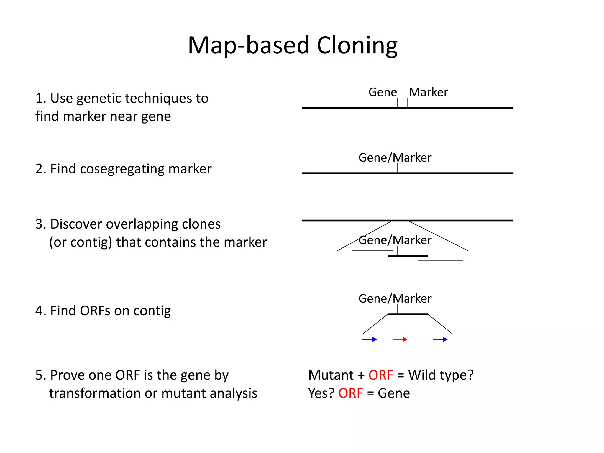 Map based cloning of genome | PPTX