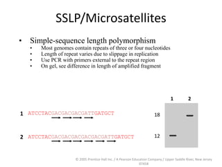 Map based cloning of genome | PPTX