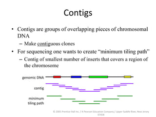 Map based cloning of genome | PPTX