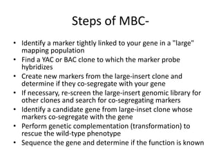 Map based cloning of genome | PPTX