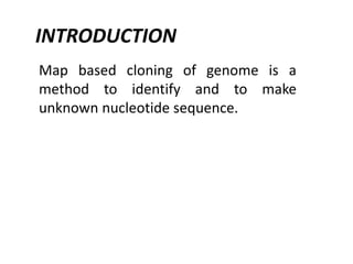 Map based cloning of genome | PPTX